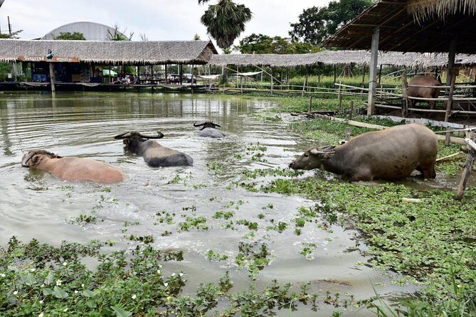 Private Tour: Fascinating Ayutthaya & Suphanburi Full Day Tour - Who Should Consider This Tour?