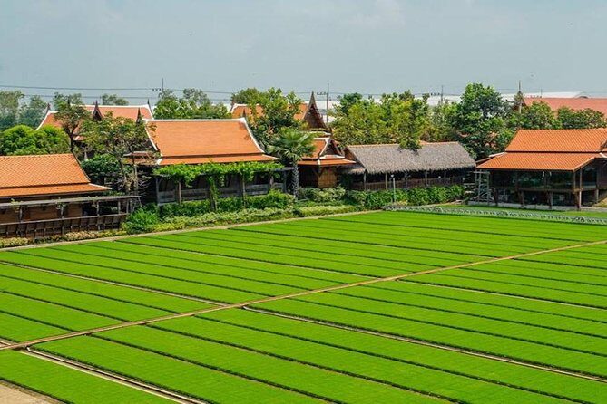 Private Tour: Fascinating Ayutthaya & Suphanburi Full Day Tour - Final Thoughts