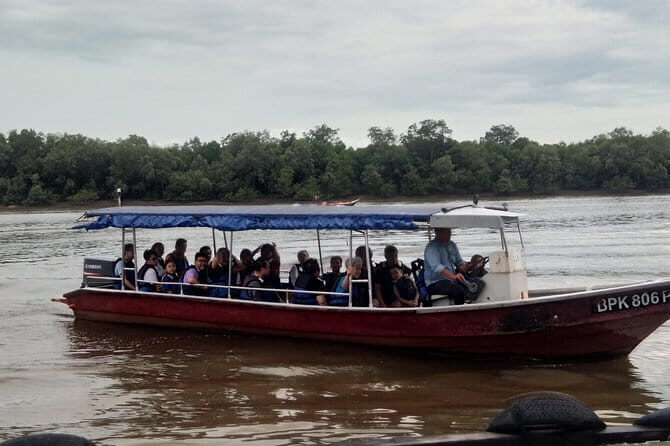 Private Tour Fireflies, Eagles and Monkey - Delicious Seafood Dinner