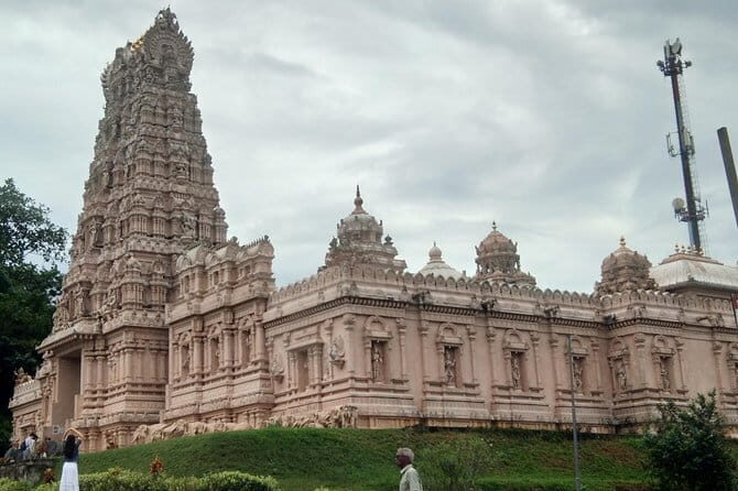 Private Tour Fireflies, Eagles and Monkey - Authentic Encounters with Local Nature