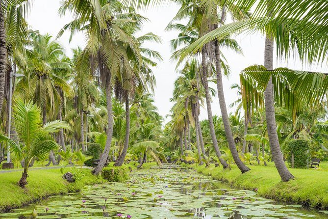Private Tour: Floating Markets and Suan Sampran Day Trip from Bangkok - Final Thoughts: Who Should Consider This Tour?