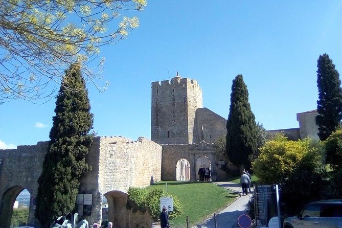 Private tour for 1 to 4 people of Arrábida and its landscapes - An In-Depth Look at the Arrábida Private Tour