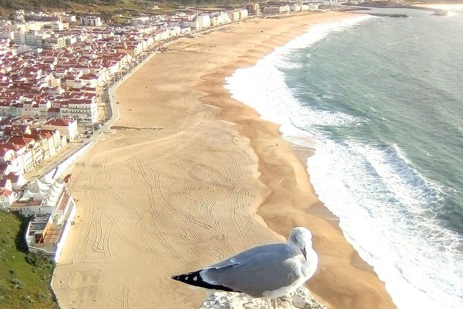 Private tour for 1 to 8 people: Fátima, Batalha, Nazaré and Óbidos - Who Is This Tour Best For?