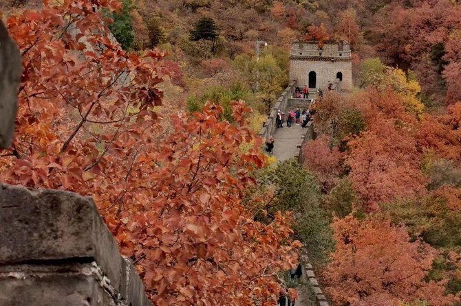 Private Tour: Forbidden City and Mutianyu Great Wall with Cable Car or Toboggan - What Travelers Say