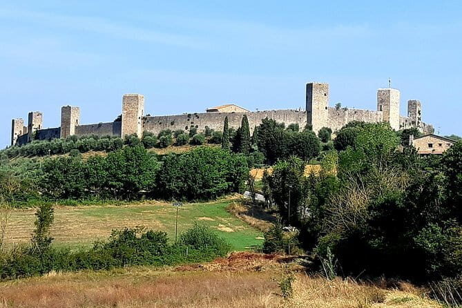 Private Tour: "FRANCIGENA WAY" in Chianti with Lunch & 2 Wine-tastings - Authentic Experiences and Guest Feedback