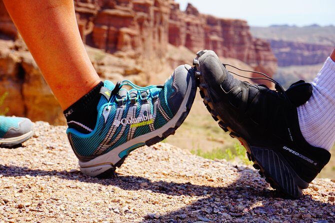 Private tour from Almaty 1 day Charyn canyon on comfortable SUV - What Makes This Tour Stand Out?