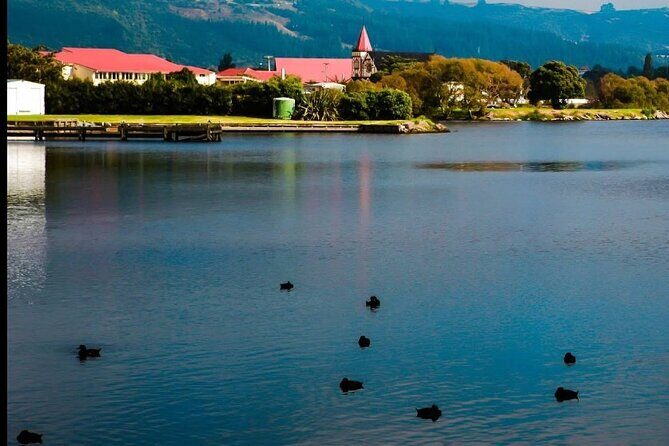 Private Tour from Auckland Hobbiton Rotorua and Wai-O-Tapu - Authentic Experiences and Traveler Feedback