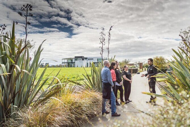 Private tour from Auckland - Waitomo Glowworm Caves, Zealong Tea & Kiwi Bird - Key Points