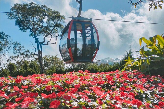 Private Tour from Chan May port to Ba Na Hills & Golden Bridge - Why This Tour Works Well