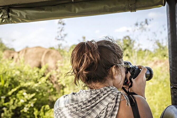 Private Tour from Ella to Tangalle with Udawalawe Safari - A Complete Look at the Private Ella to Tangalle Tour with Udawalawe Safari