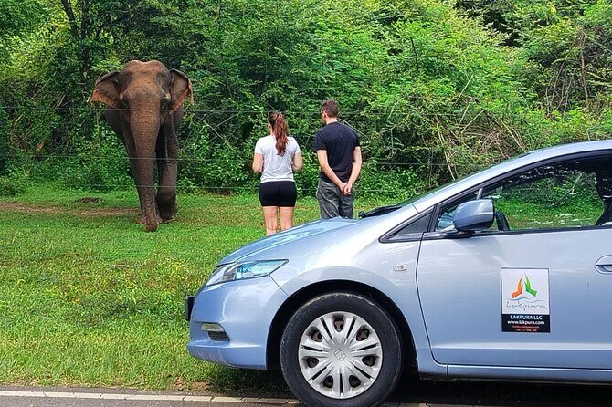 Private Tour from Ella to Tangalle with Udawalawe Safari - FAQ