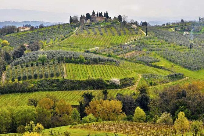 Private tour from Florence to Cortona and Arezzo - Authenticity and Real Traveler Feedback