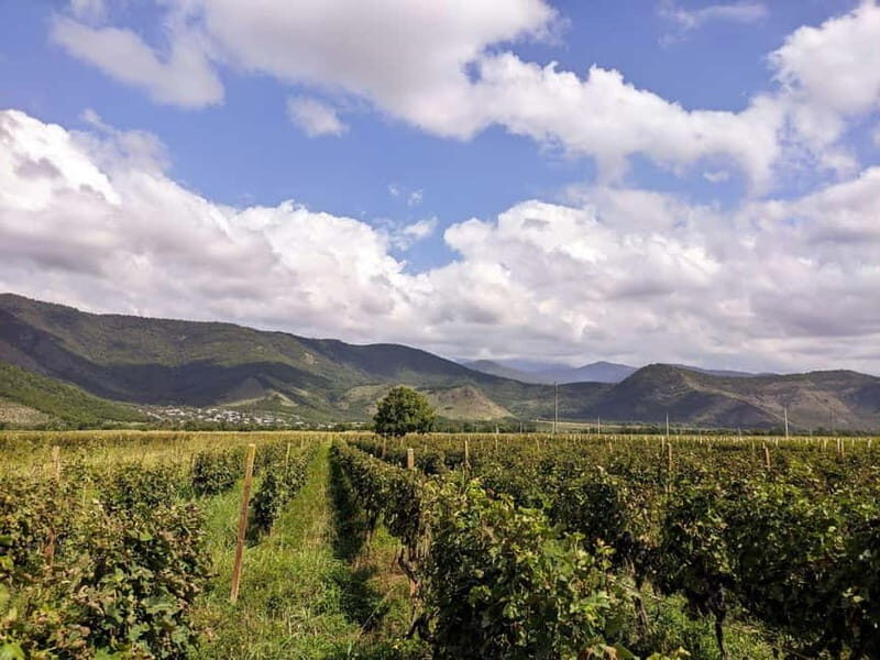 Private tour from KUTAISI: Tskhrajvari, Racha and Winery - The Sum Up: Who Is This Tour For?
