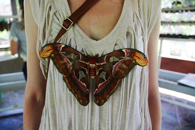 Private Tour from Leke-Leke Waterfall to Jatiluwih Rice Terrace - Exploring Bali’s Hidden Gems: Private Tour from Leke-Leke Waterfall to Jatiluwih Rice Terrace