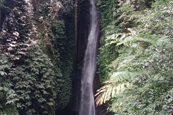 Private Tour from Leke-Leke Waterfall to Jatiluwih Rice Terrace - Key Points