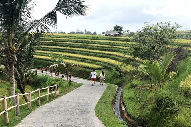 Private Tour from Leke-Leke Waterfall to Jatiluwih Rice Terrace - Frequently Asked Questions