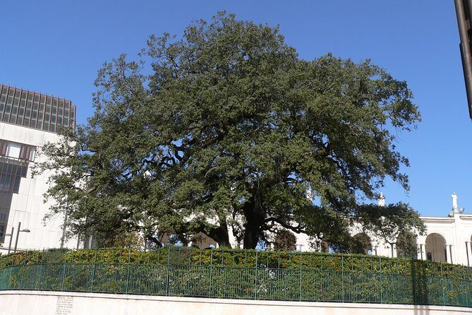 Private Tour From Lisbon: Fátima Sanctuary and Batalha Monastery - Key Points