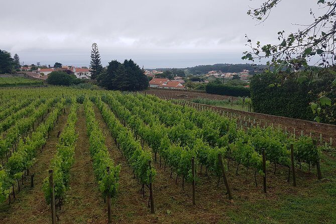 Private Tour from Lisbon to Sintra, Cabo da Roca, Cascais and Estoril - FAQ