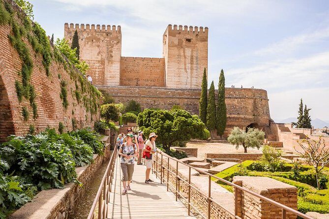 Private tour from Malaga to the Alhambra Palace and Granada for up to 8 persons - The Value of the Experience
