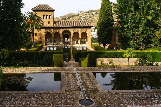 Private tour from Malaga to the Alhambra Palace and Granada for up to 8 persons - Final Thoughts