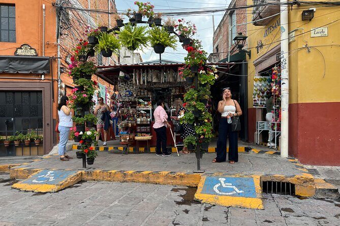 Private Tour from Mexico City to San Miguel de Allende - What’s Included and What’s Not