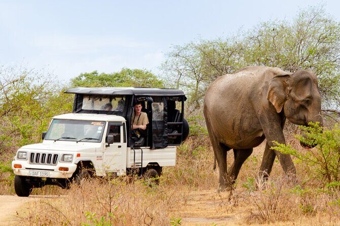 Private Tour from Mirissa to Ella with Udawalawe Safari - FAQs