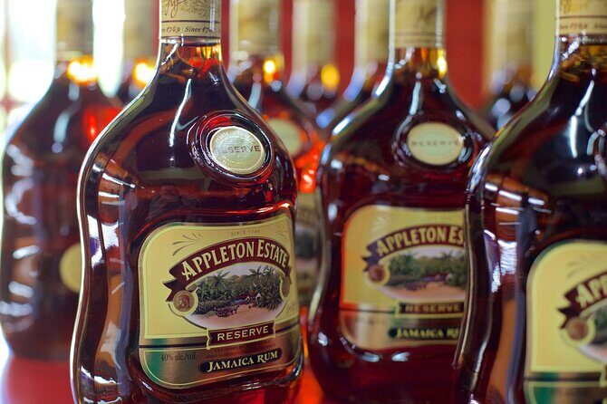 Private Tour from Montego Bay to Appleton Estate and YS Falls - A Closer Look at the Itinerary