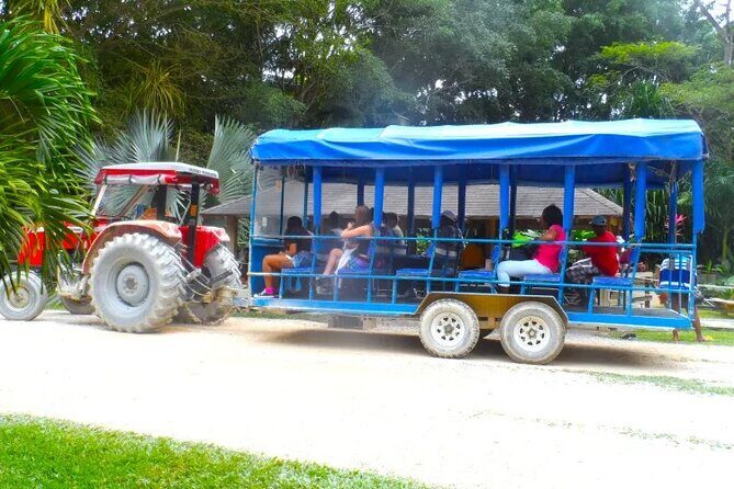 Private Tour from Montego Bay to Appleton Estate and YS Falls - FAQs