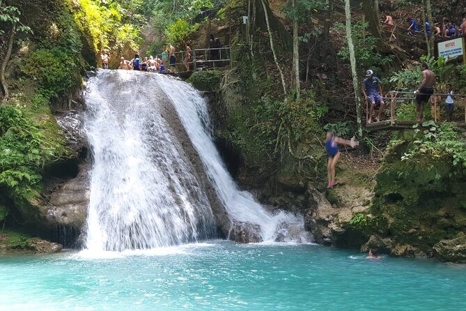 Private Tour from Montego Bay to Horse Back Riding and Bluehole - An In-Depth Look at the Tour Experience