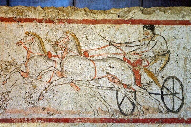 Private Tour from Naples to the Greek Temples of Paestum - An Introduction to the Paestum Experience