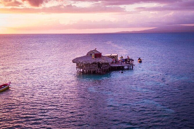 Private Tour from Negril to YS Falls and Pelican Bar - FAQ