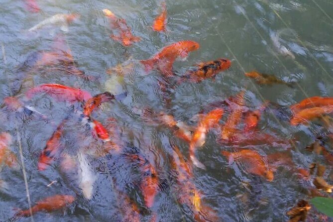 Private Tour From Ocho Rios To Konoko Falls And Garden and Shopping - Authentic Experiences and Real Feedback