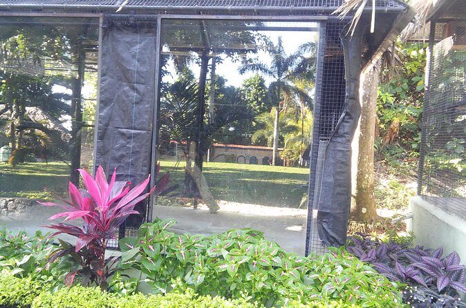 Private Tour From Ocho Rios To Konoko Falls And Garden and Shopping - The Value Proposition