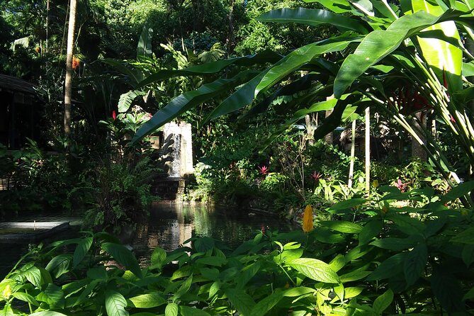 Private Tour From Ocho Rios To Konoko Falls And Garden and Shopping - Who Should Consider This Tour?