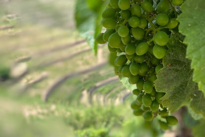 Private Tour From Porto To Douro Valley With River Boat Ride - Frequently Asked Questions