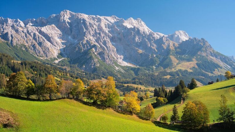 Private tour from Salzburg to Vienna and back in English - The Details That Matter