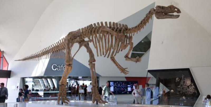 Private Tour: From Sydney to Canberra Full Day Tour - Analyzing the Value