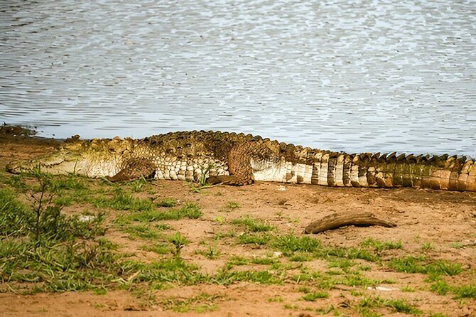 Private Tour from Tangalle to Ella with Udawalawe Safari - The Journey Begins: From Tangalle to Udawalawe