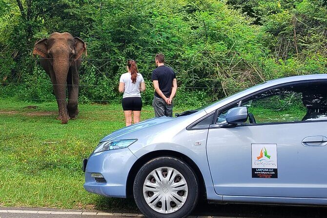 Private Tour from Tangalle to Ella with Udawalawe Safari - Authentic Experiences and Considerations