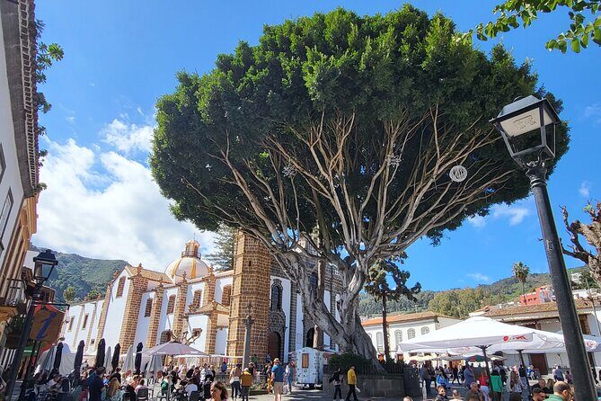 Private Tour from the Port of Las Palmas to Teror Firgas Arucas - FAQs