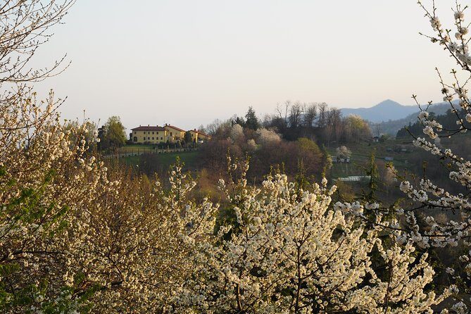Private tour from Turin: Full day Langhe Region with its Colors and Flavors - Frequently Asked Questions