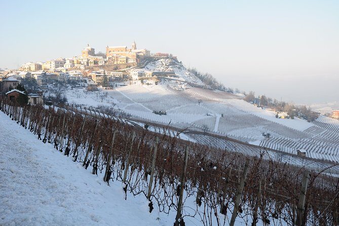 Private tour from Turin: Full day Langhe Region with its Colors and Flavors - Final Thoughts