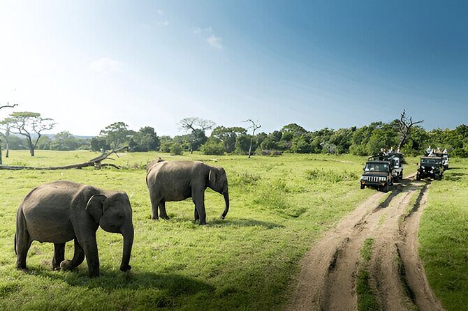 Private Tour from Weligama to Ella with Udawalawe Safari - Key Points