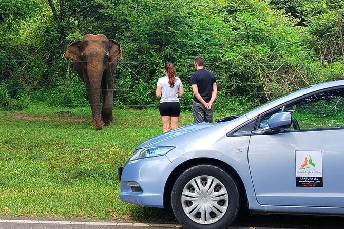 Private Tour from Weligama to Ella with Udawalawe Safari - Who Is This Tour Best For?