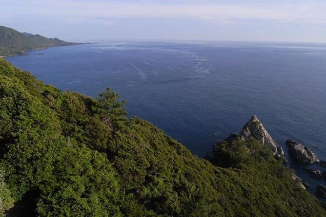 Private Tour: Full-Day Walking Tour with Professional Local Guide in Yakushima Island - Practical Tips for Interested Travelers