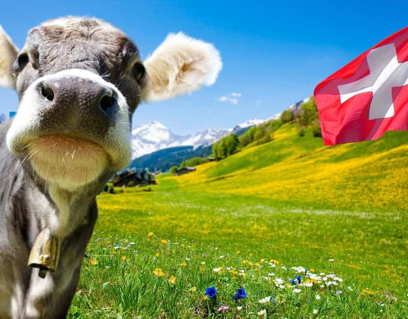 Private tour Geneva-Gruyère's: chocolate and cheese factory - A Closer Look at the Experience
