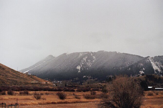 Private Tour Grand Teton National Park - What to Expect on the Tour