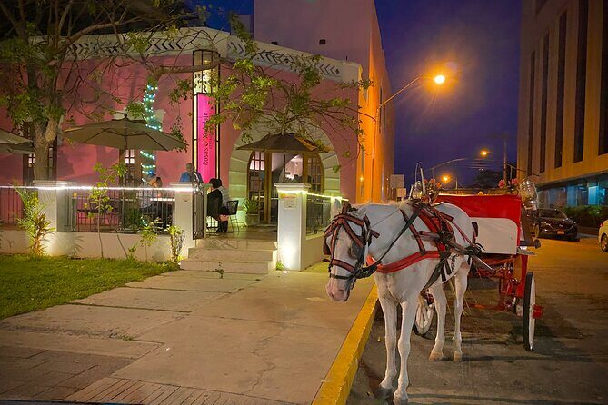Private Tour Guide in Merida, 100% customisable - The Experience in Detail