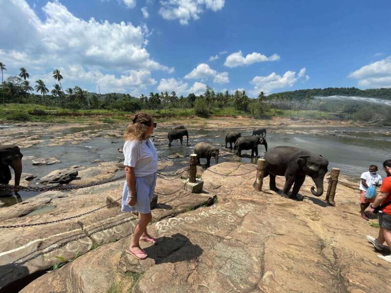 private tour guide in Sri lanka : 5 Days Tour Package - Introduction