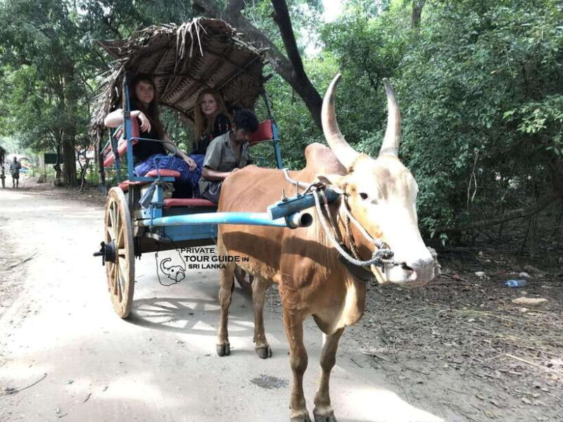 PRIVATE TOUR GUIDE IN SRI LANKA 6-days tour package. - FAQ